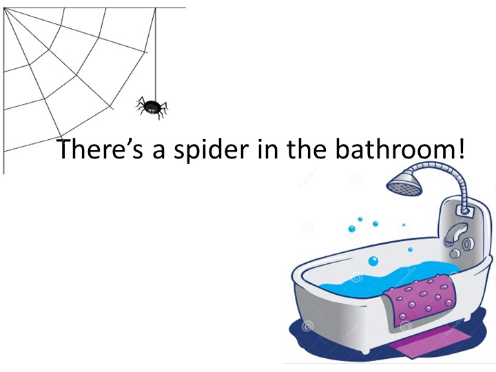 Презентация по английскому языку "There’s a spider in the bathroom" (2 ...